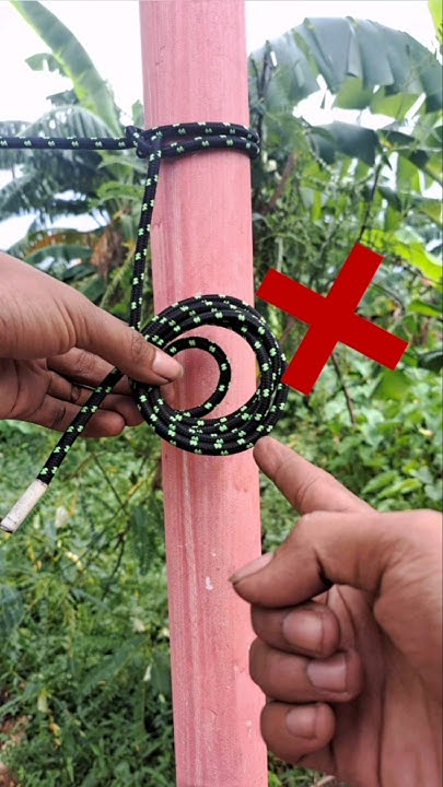Useful whipping rope knot you must know - YouTube