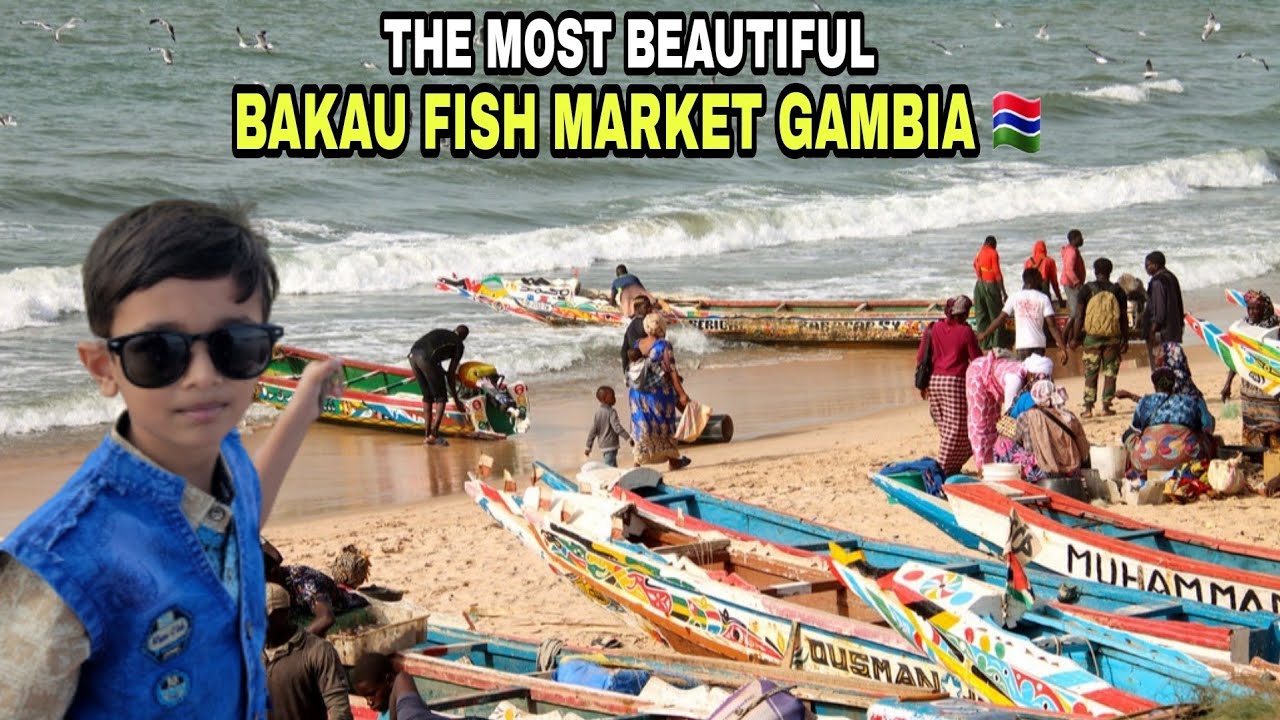 Visiting The Most Natural And Beautiful Bakau Fish Market in the Gambia ...