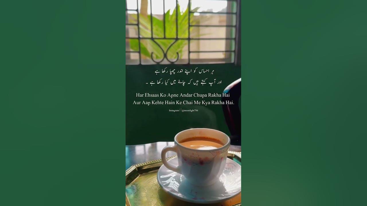 Hyderabad lover think tea #tea #love #sadsong #chailover #song #hyderabad - YouTube