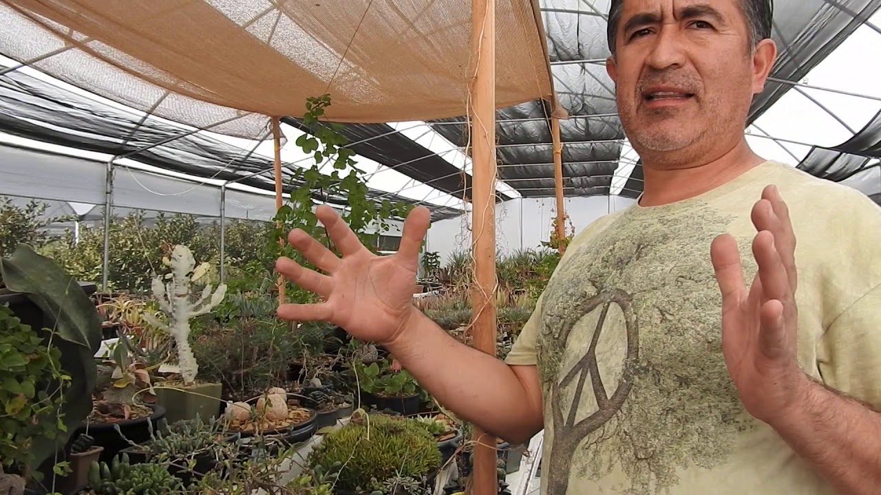 Visitando a Roberto Garay en Sossusvlei ( 1 ) - YouTube