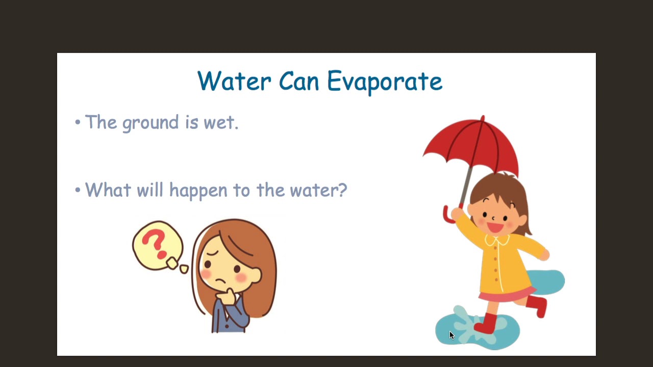 Lesson 4 Science Grade 1 How Can Water Change - YouTube