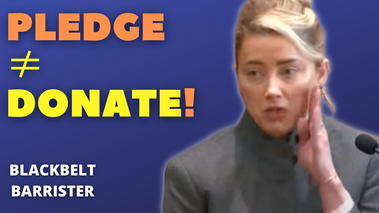 No, Amber, Pledge does NOT equal Donate! UK Barrister: Legal ...