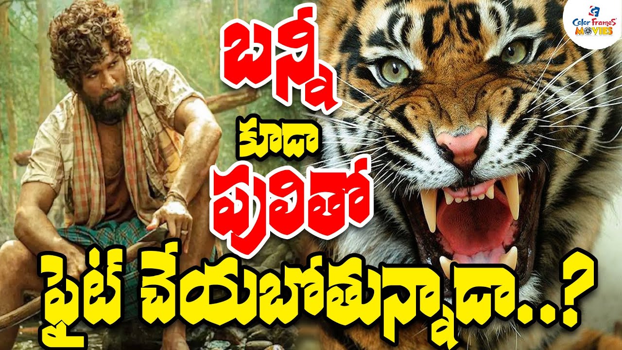 Allu Arjun To Fight With Tiger In Pushpa 2 The Rule Movie | Pushpa 2 ...