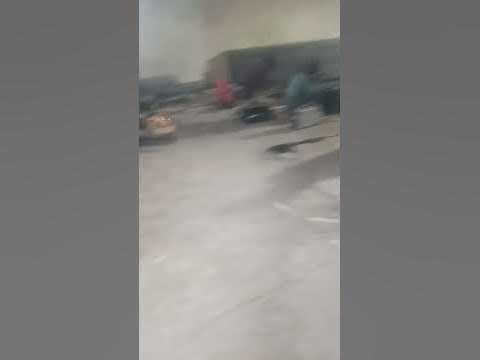 Shateel hard work - YouTube