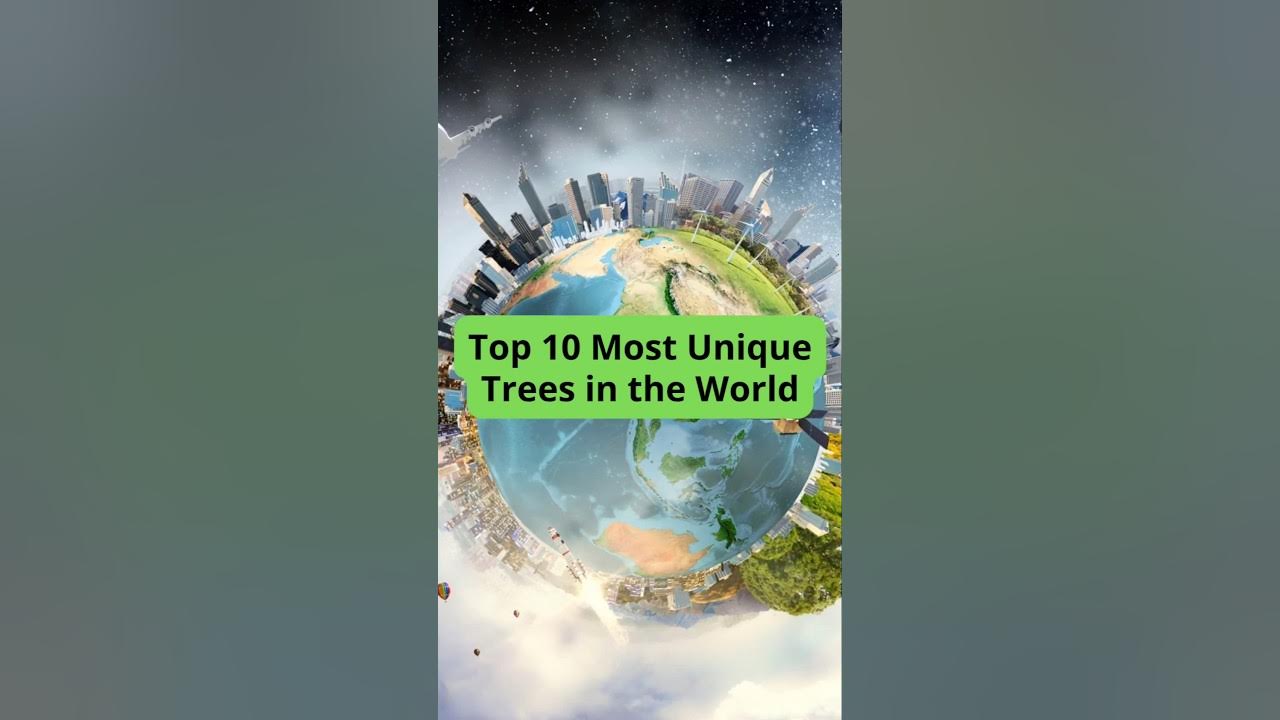 Top 10 Most Unique Trees in the World - YouTube