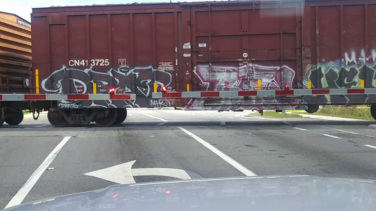 Train car Graffiti tags - CSX Jacksonville Fl - YouTube