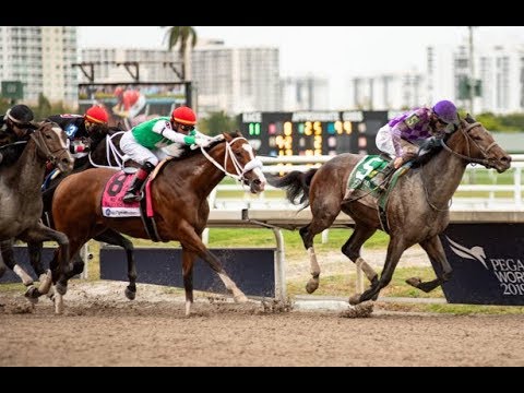 Holy Bull Stakes (G2) 2019 - Harvey Wallbenger - YouTube