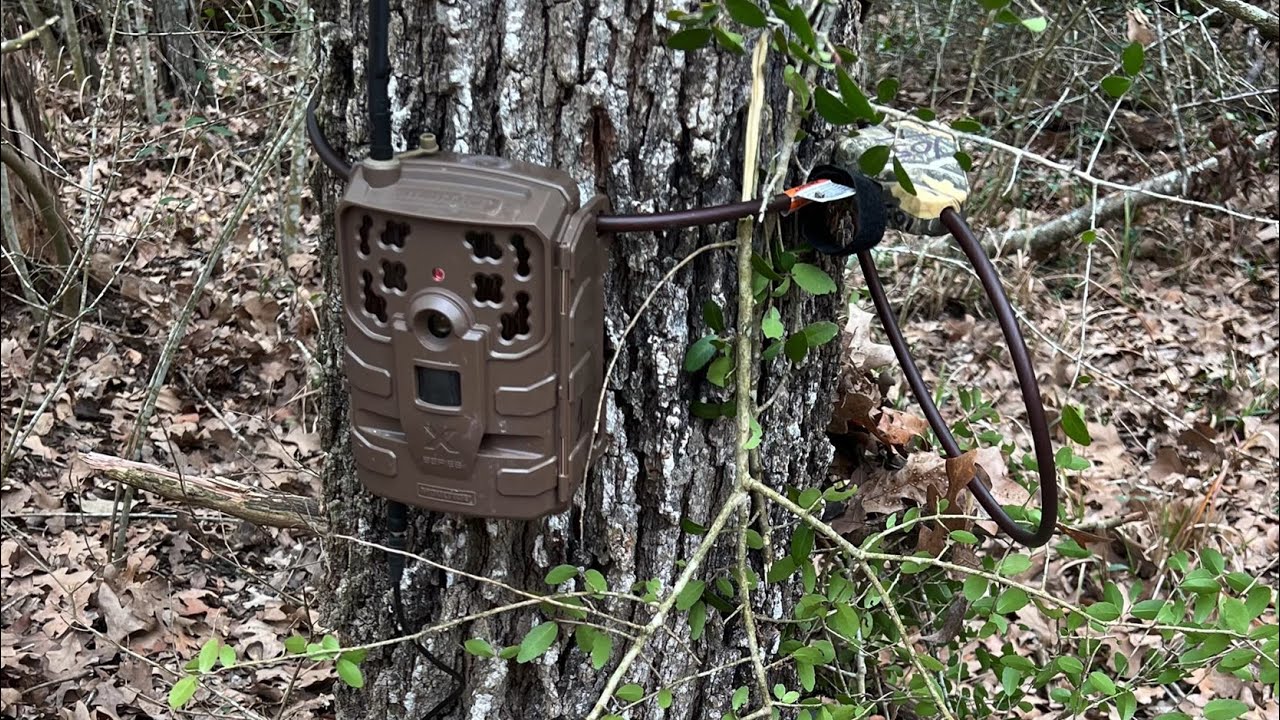 Raccoon Action on my Moultrie Mobile Delta Base Cellular Trail Cam ...