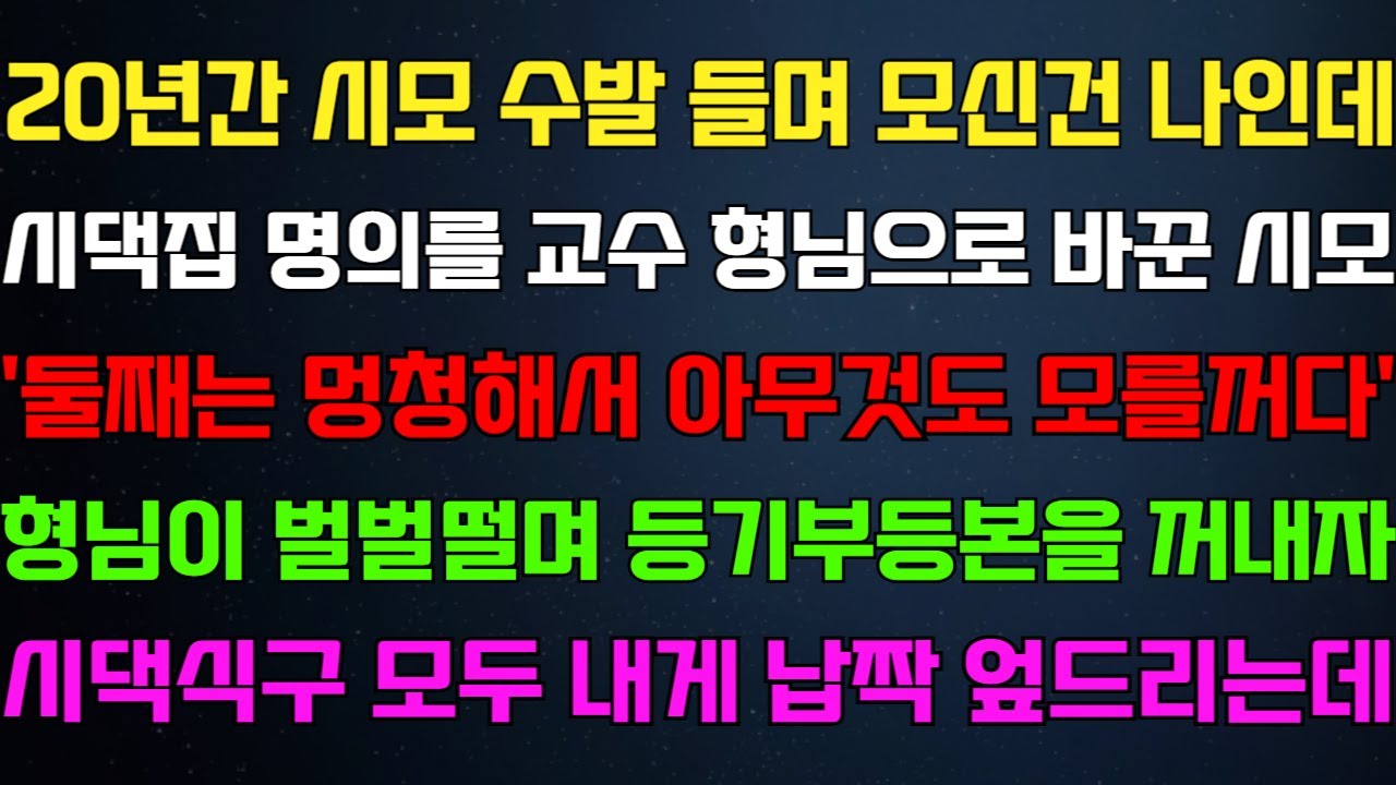 반전 신청사연 20년간 시모 수발 들며 모신건 나인데 시댁집 명의를 교수 형님으로 바꾼 시모 시댁식구 모두 내게 납짝 엎드리는데사연카페실화사연썰 Youtube