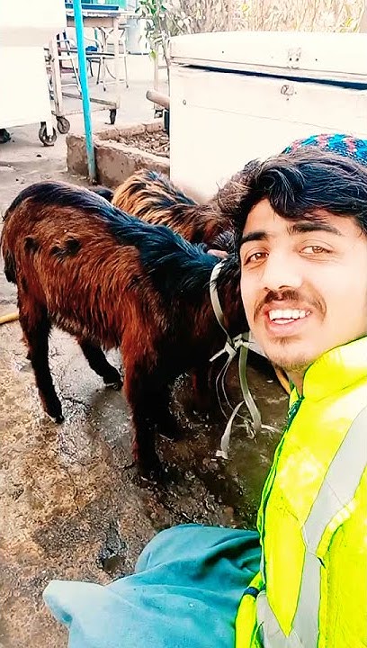 February 7, 2021 - YouTube