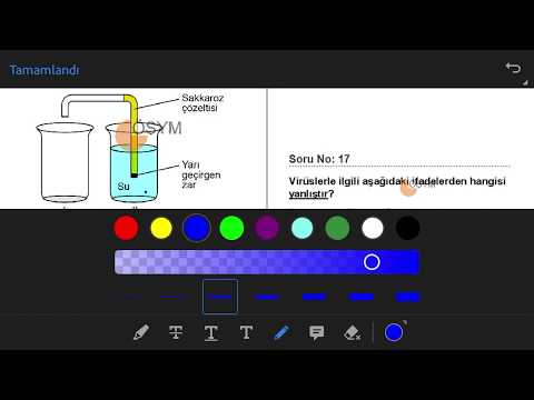 MSÜ 2020 Soru Çözümleri