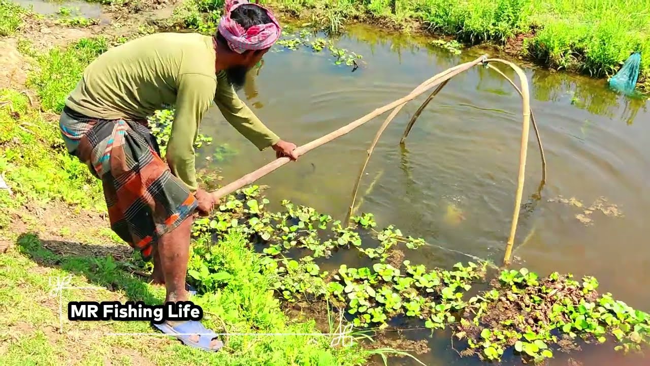Traditional net fishing video - Professional fish hunter catching fish ...