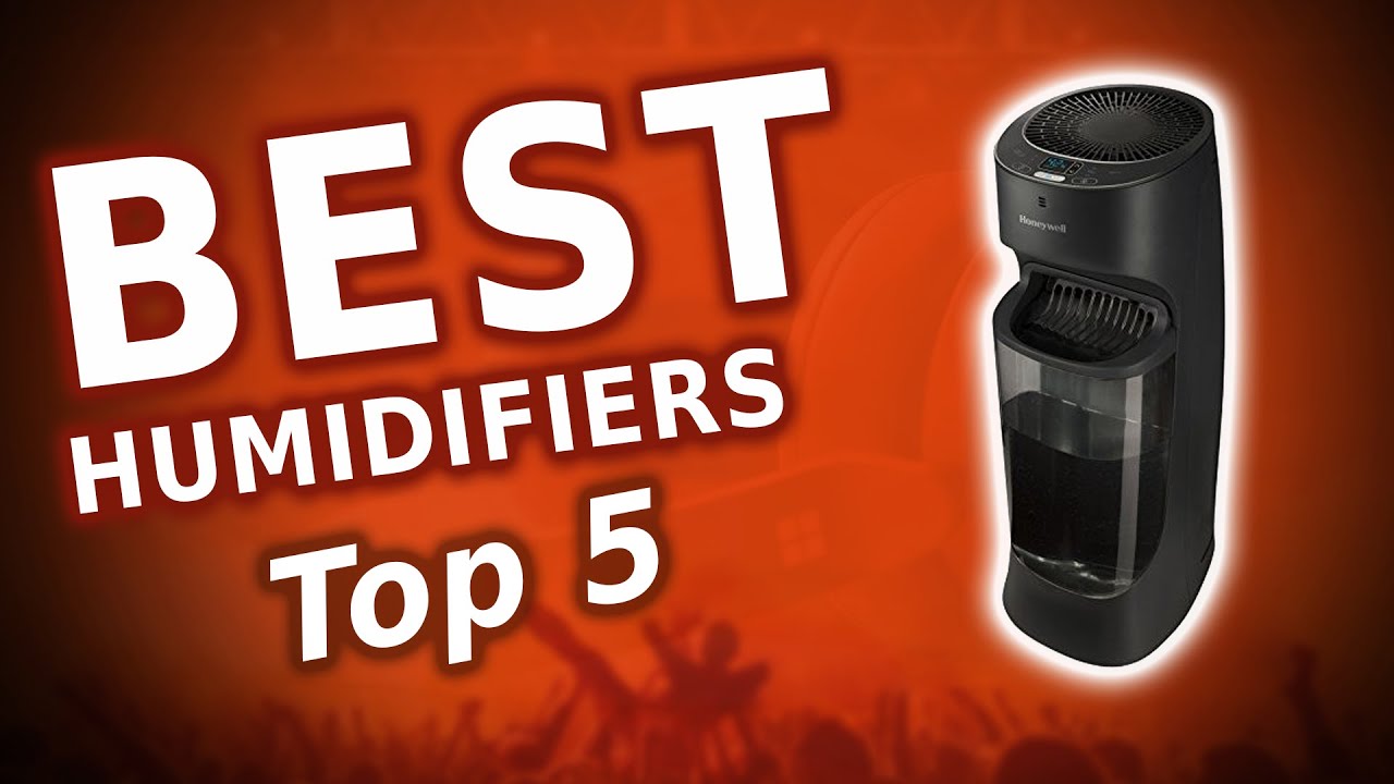 🇺🇸 5 Best Humidifiers 2020 Reviews 😎😎 - YouTube