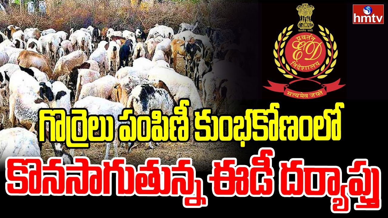 ED Investigation Continues in Sheep Scam| గొర్రెలు పంపిణీ కుంభకోణంలో ...
