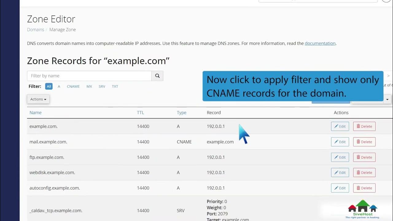 How to edit or delete CNAME Record in cPanel using the DNS Zone Editor with SiveHost - YouTube