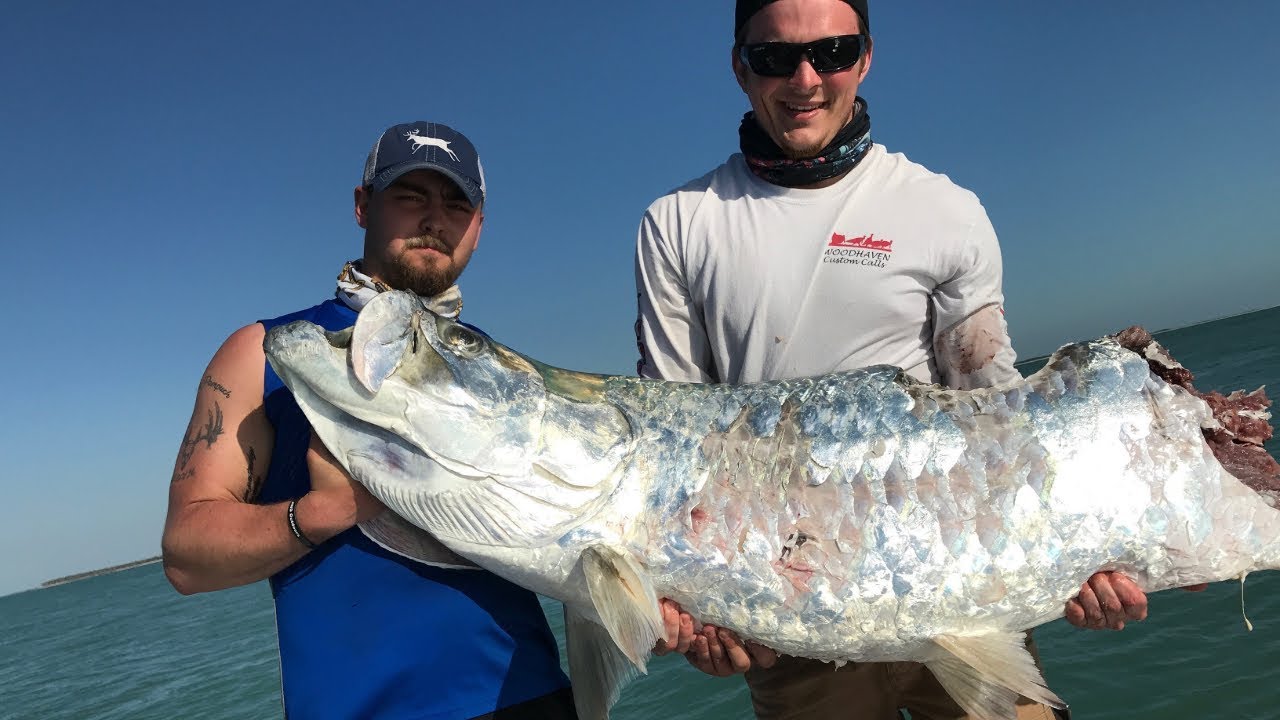 Tarpon Fishing Gone Wrong...(EPIC Shark Attack) - YouTube