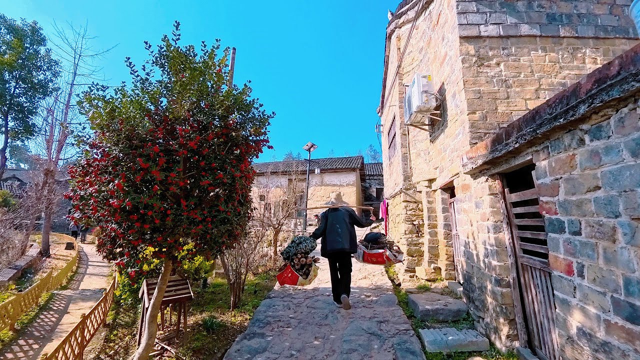 Walking Through Baojia Dongyuan Village, Macheng | Quiet Rural Life in ...