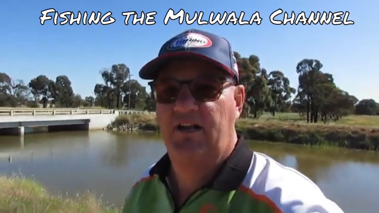 Good Morning Fishing in the Mulwala Channel - YouTube