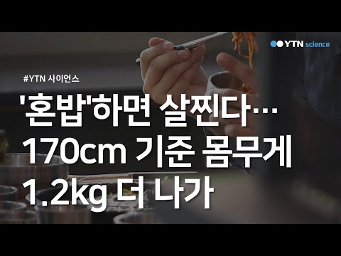 '혼밥'하면 살찐다…170cm 기준 몸무게 1.2kg 더 나가 / YTN 사이언스 - YouTube