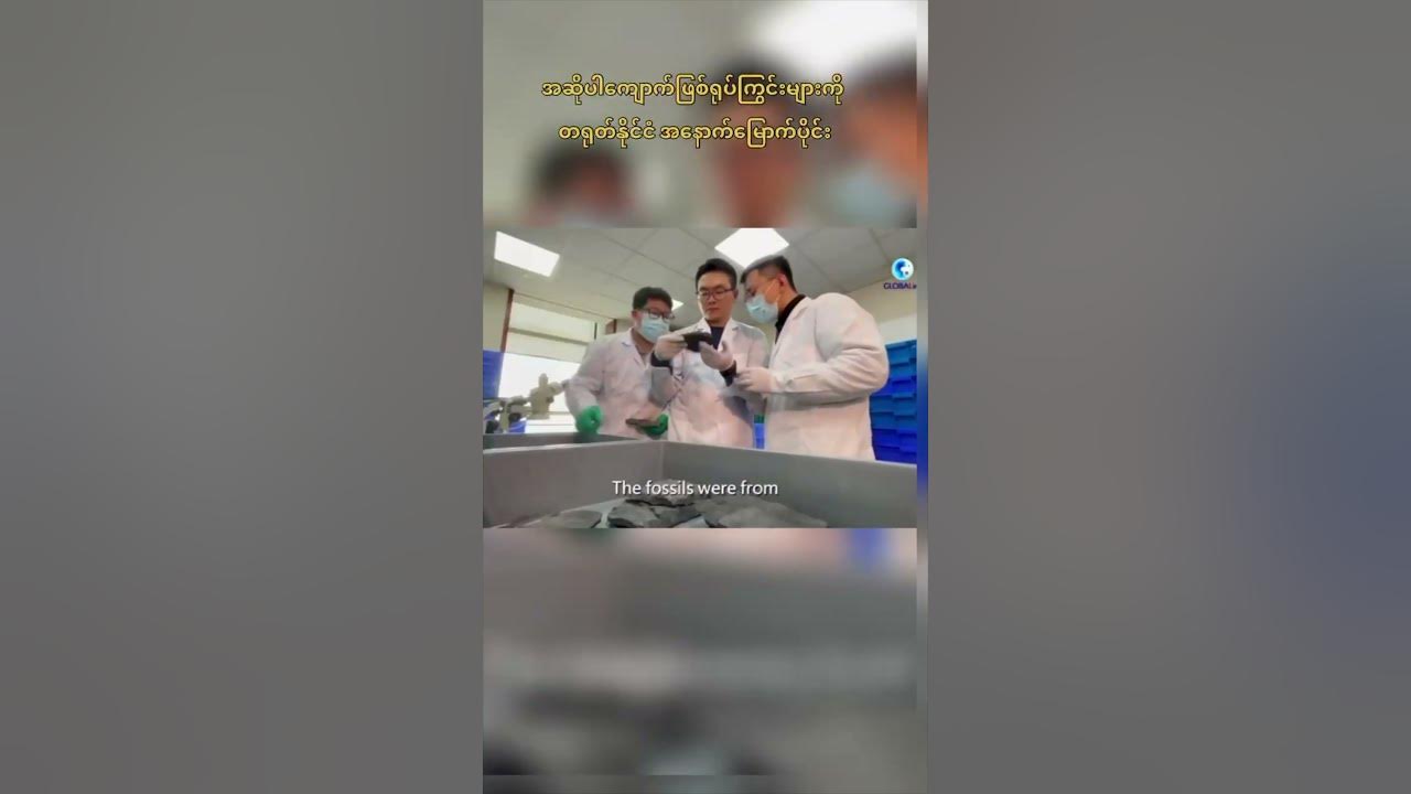 တရုတ်နိုင်ငံ အနောက်မြောက်ပိုင်း၌ Jurassic ခေတ်လယ်ပိုင်းက အပင်ကျောက်ဖြစ