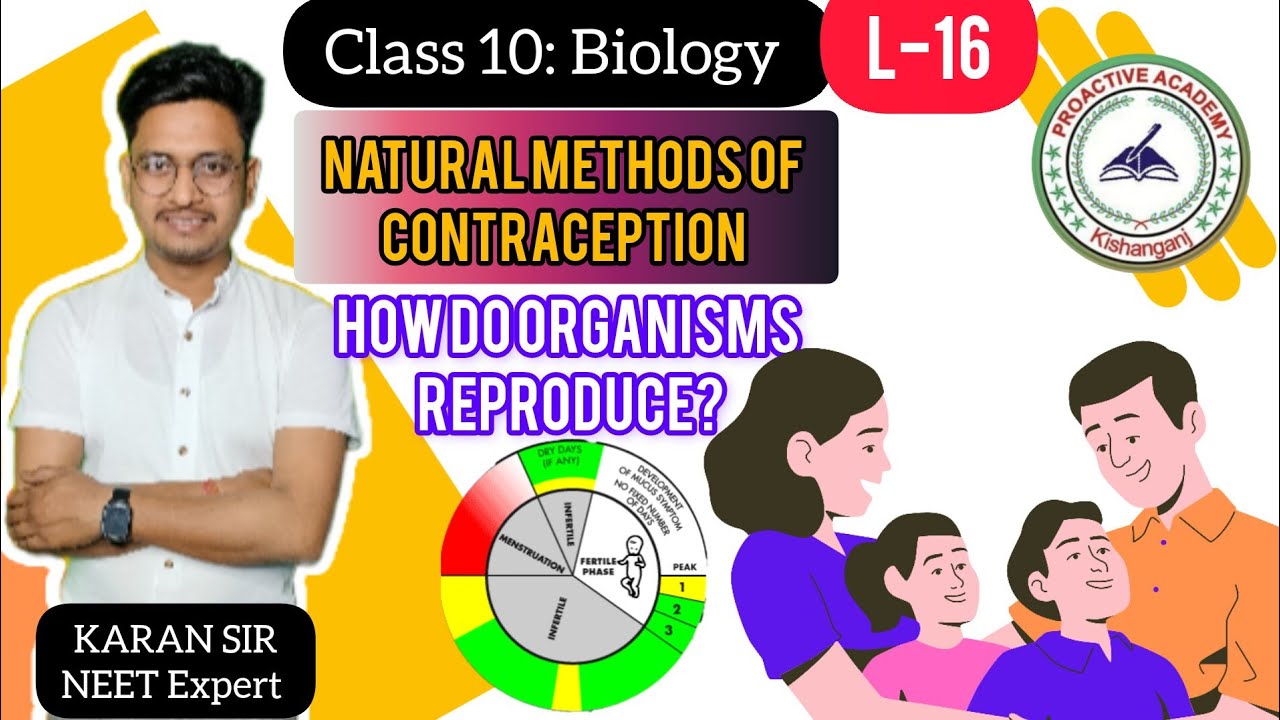 Natural methods of Contraception | Human Reproduction | Class 10 NCERT ...