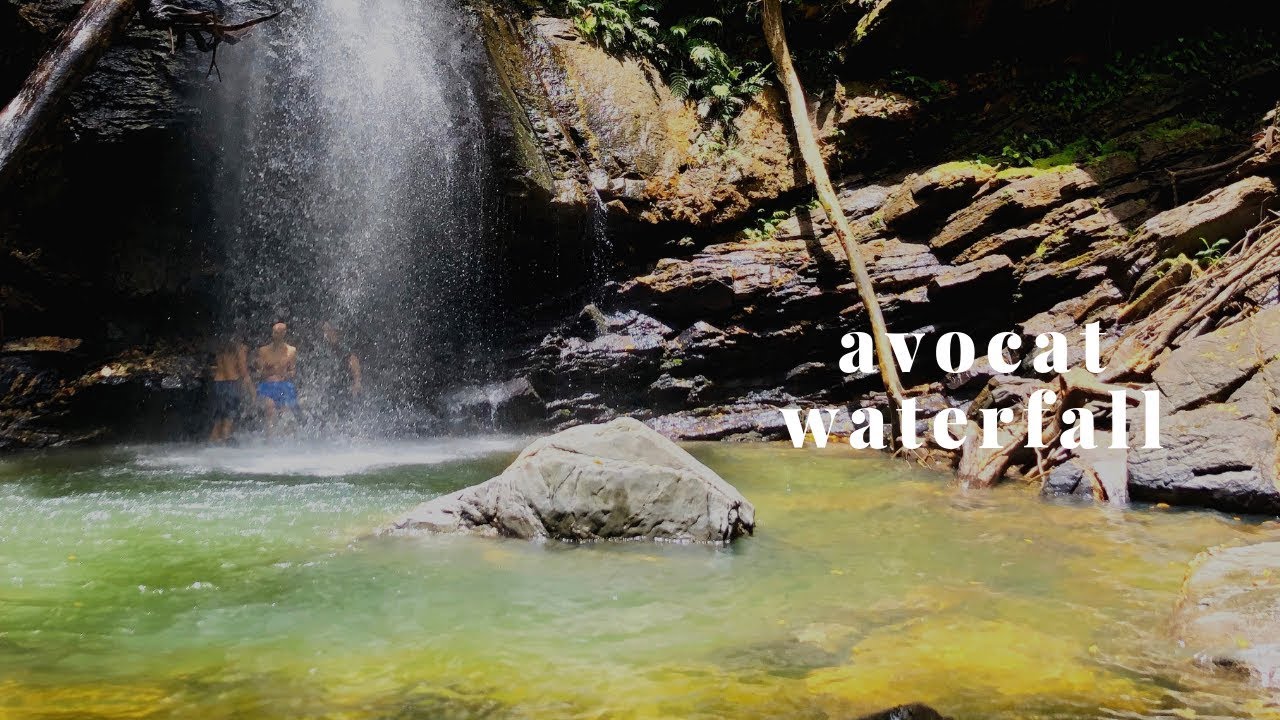 avocat waterfall trinidad and tobago || travel trinbago - YouTube
