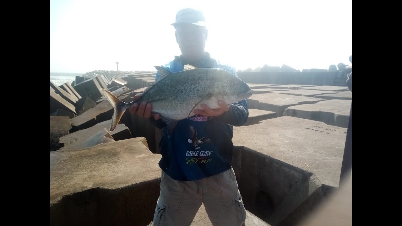 Kingfish off South Pier -Durban Harbour - YouTube
