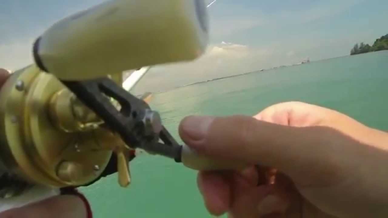 Trigger X Minnow - Fresh to Salt - YouTube