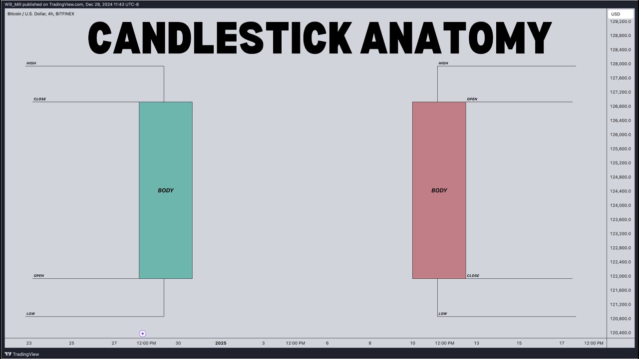 Understanding Candlestick Anatomy: Unlocking the Basics of Price Action ...