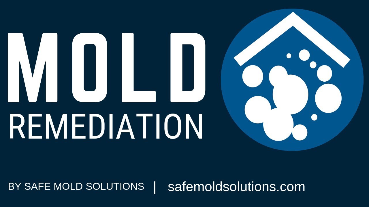 Mold Remediation By Safe Mold Solutions - YouTube