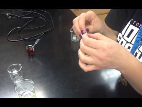 Dialysis Tubing Lab Project - YouTube