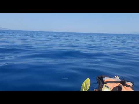 Kuşadası  Güzelçamlı Venüs plajda deniz kirliliğine dikkat..