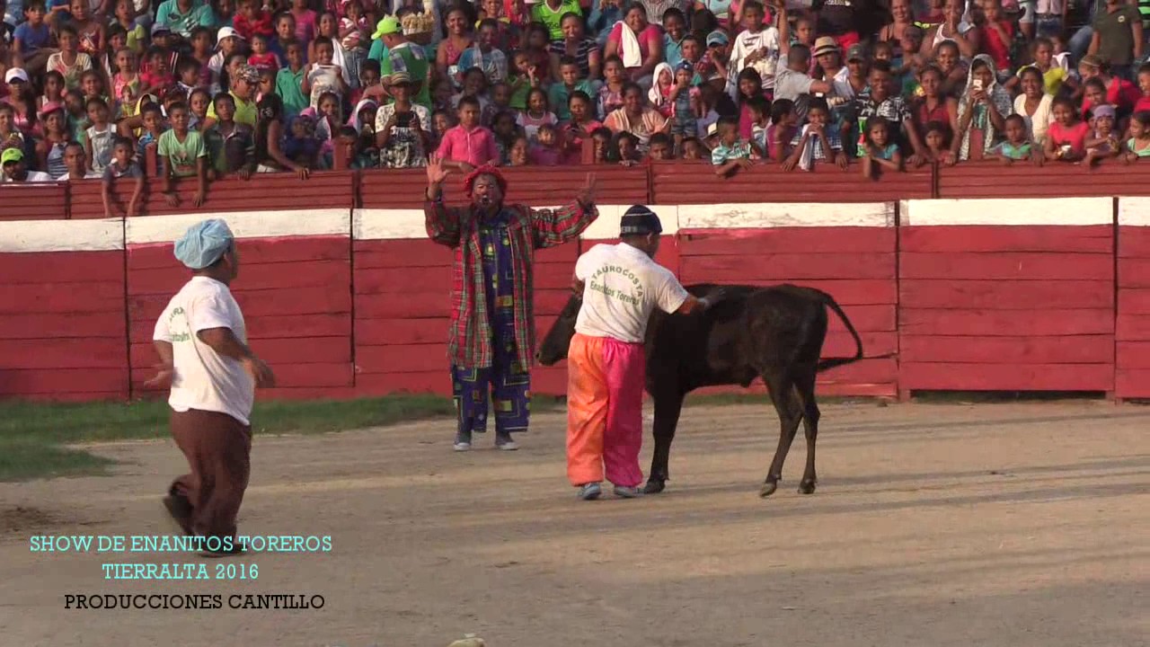 SHOW DE ENANITOS TOREROS TIERRALTA 2016 - YouTube