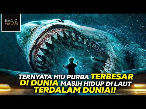 DITEMUKAN HIU PRASEJARAH \