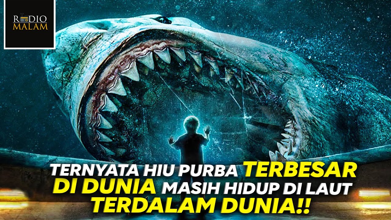 DITEMUKAN HIU PRASEJARAH "MEGALODON" - Alur Film The Meg (2018) - YouTube