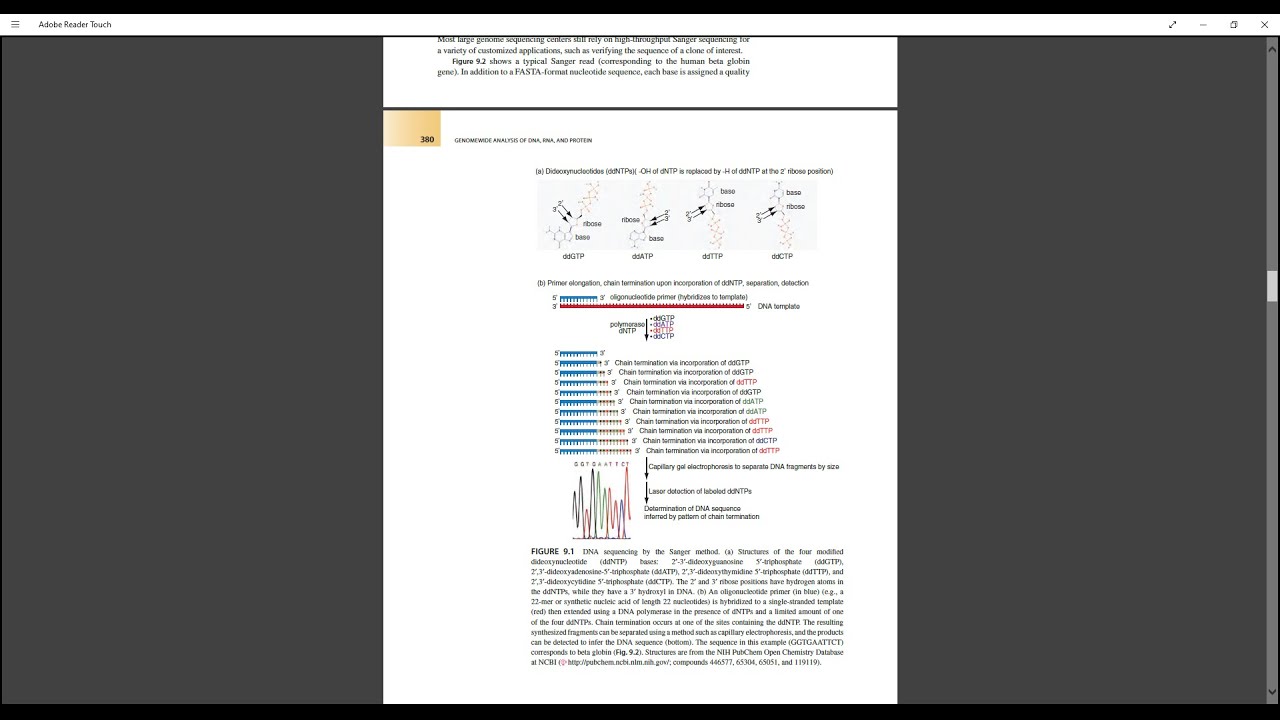 Genomics: Sanger sequencing_Book reading (Part 1) - YouTube