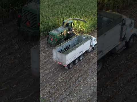 Beautiful evening out on the prairie!! #silage2024 #johndeere #cowchow #ndlegendary #feedercattle