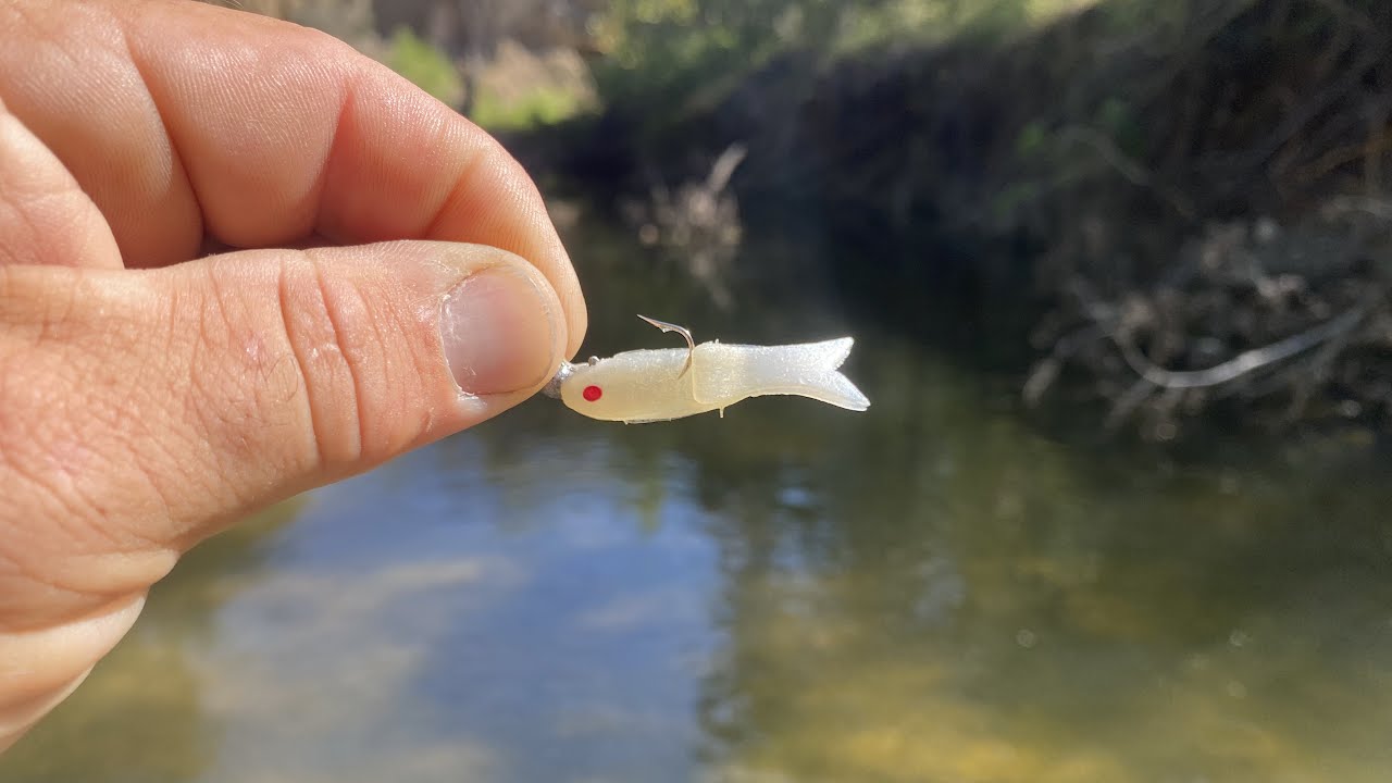 Small LURE Challenge! Budget Swimbaits! Creme Lures from Walmart! This ...