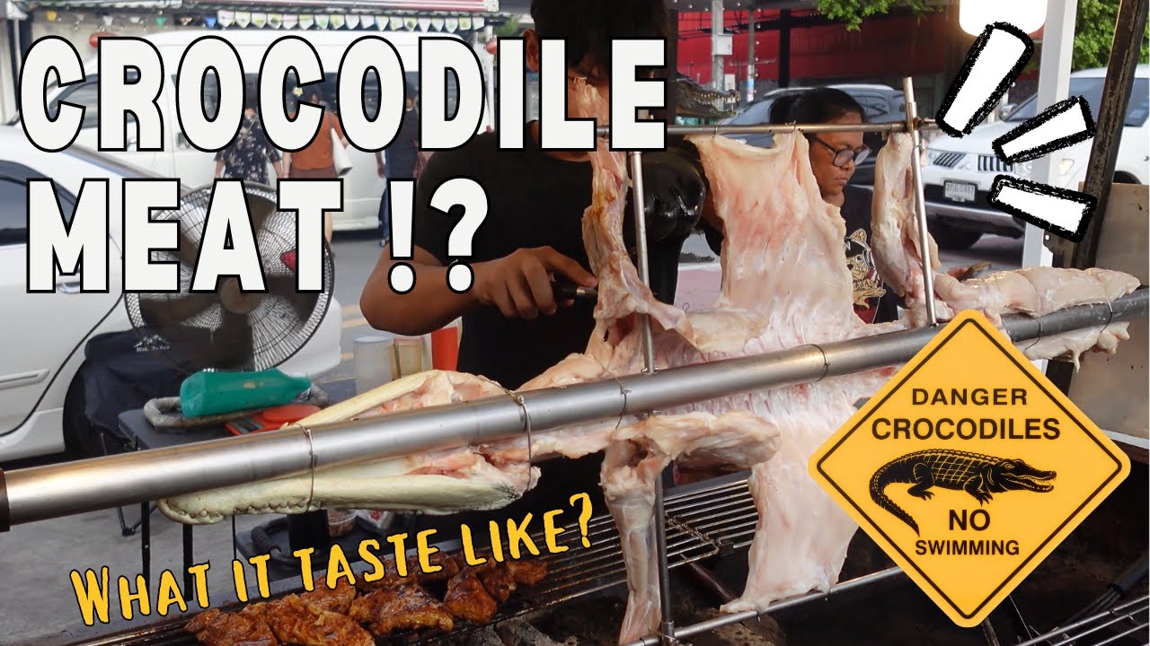 First Time Trying CROCODILE MEAT! It was Good! - YouTube