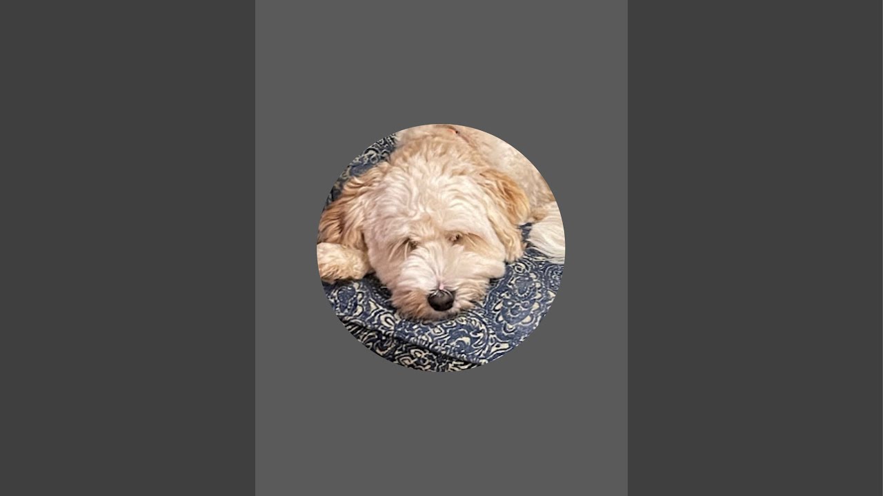 Rory Stark is live! - YouTube