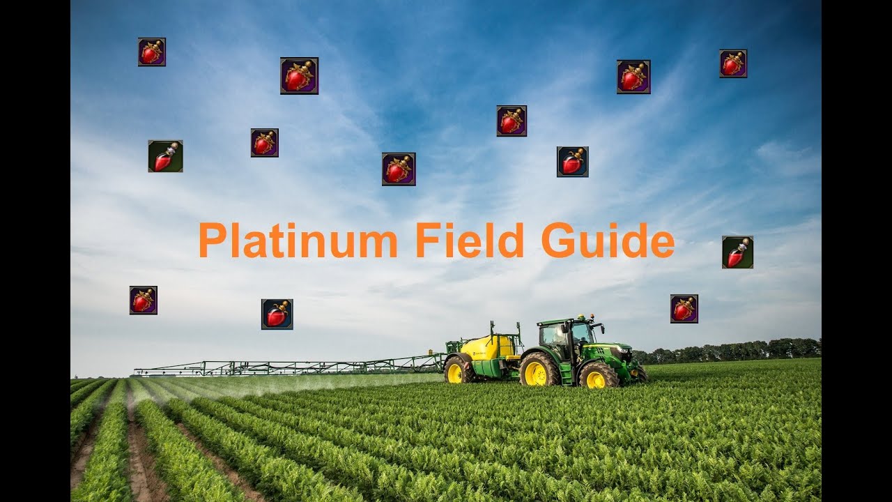 Lost Ark - วิธีวิ่ง Platinum field guide กดยาเหมือนของฟรี แค่วิ่งเป็นก็ ...