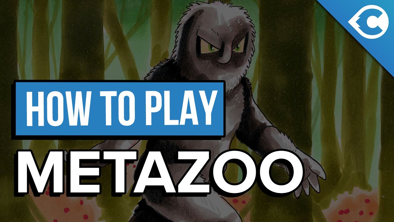 Learn How to Play MetaZoo with the MetaBroz! - YouTube