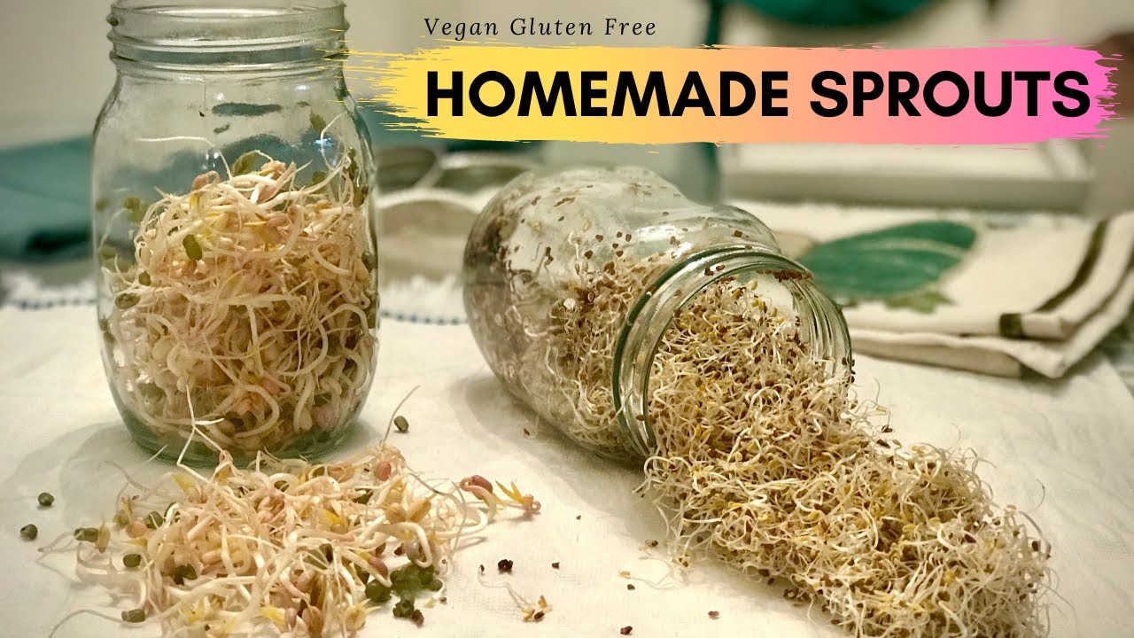 HOW TO MAKE SPROUTS AT HOME | alfalfa sprouts & mung been sprouts ...