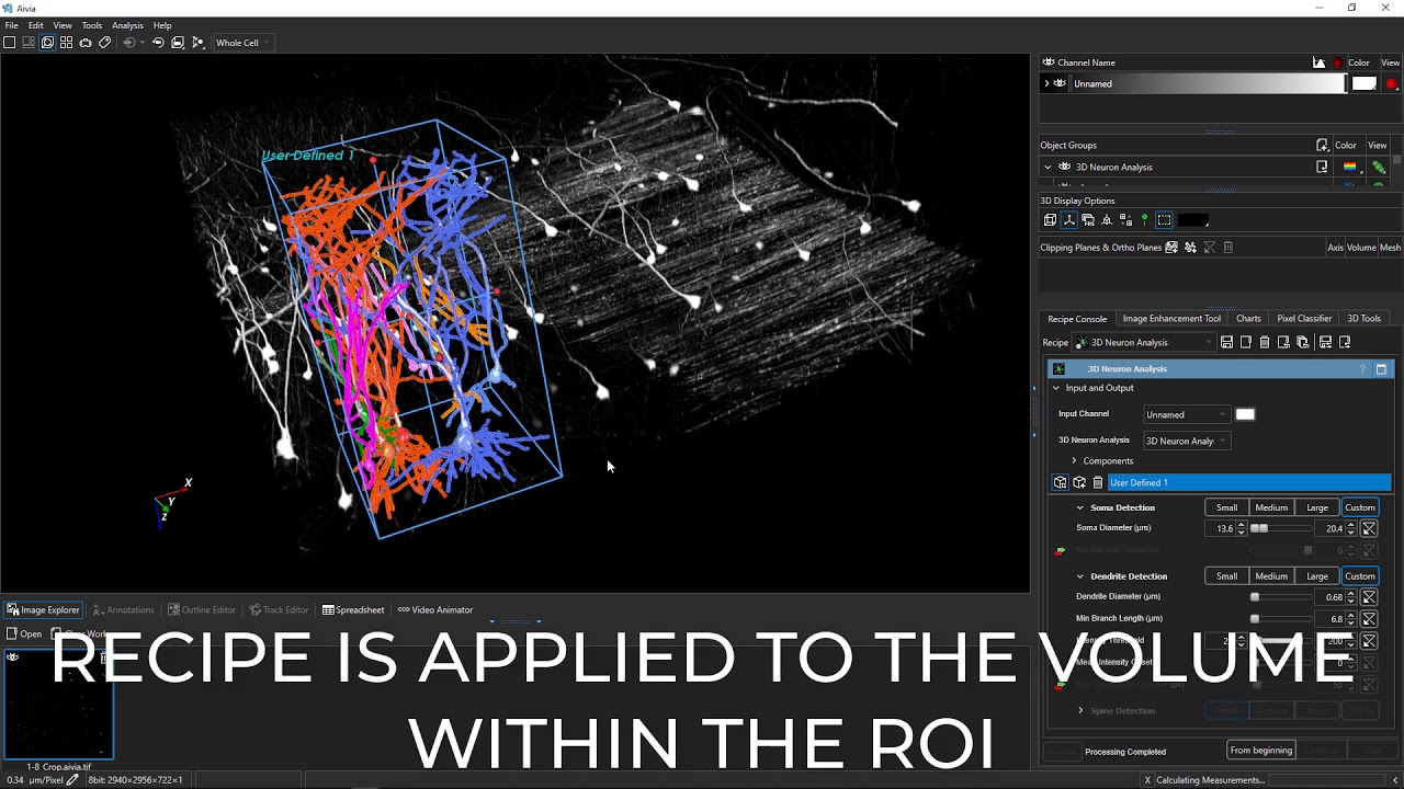 [Quick Tips] ROI Processing - YouTube