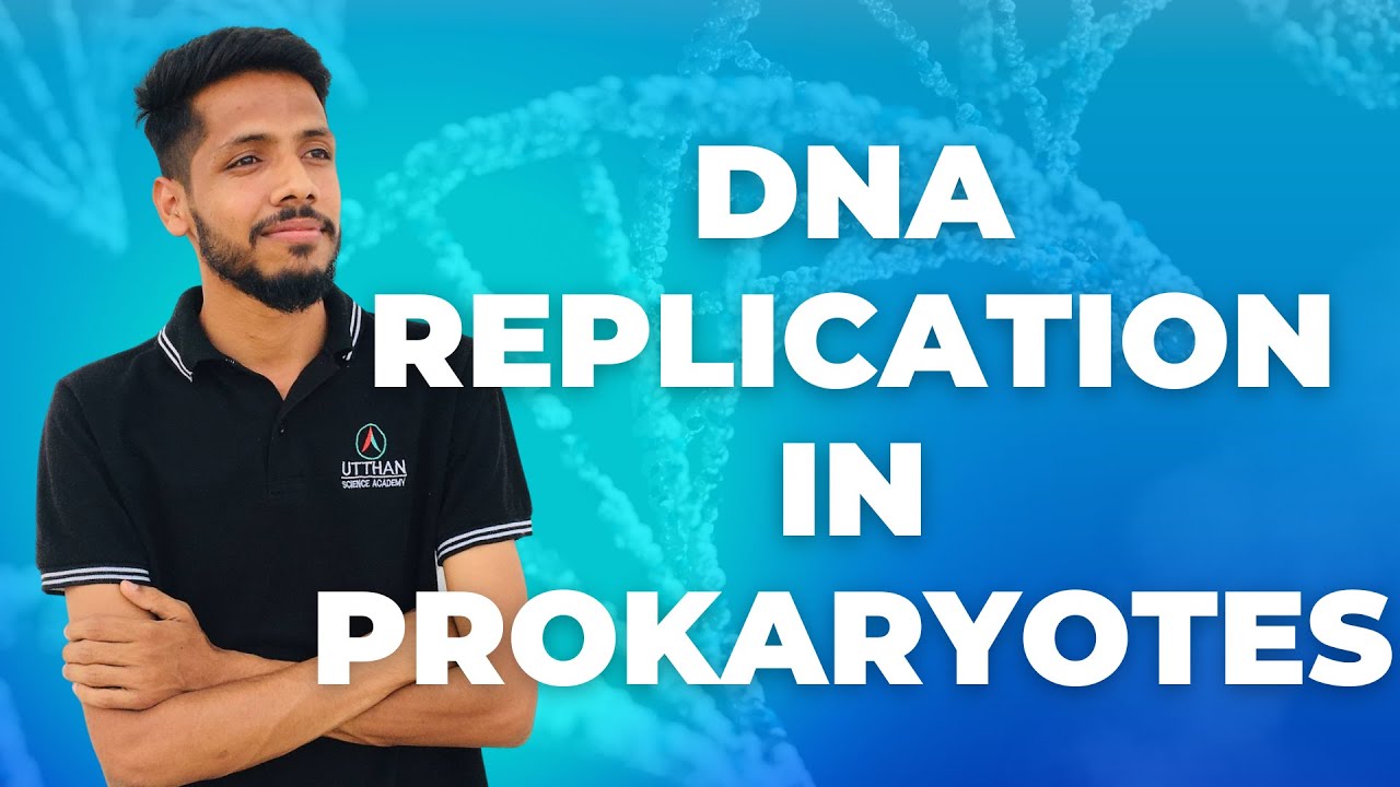 DNA Replication | DNA replication in prokaryotes | NEET | JET | ICAR ...