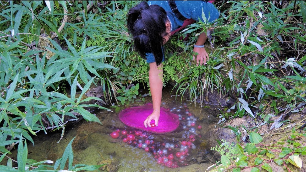 Clams spit out colorful pearls in the water, and I quietly took away ...