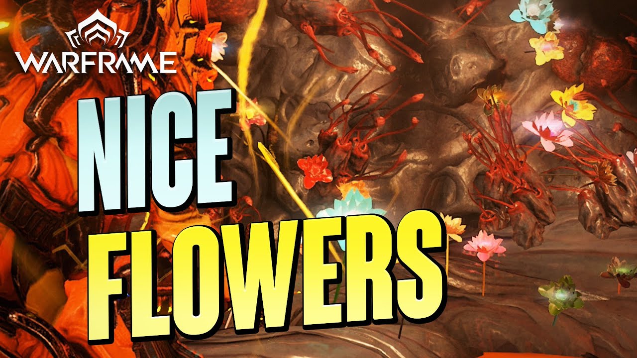 Warframe - In the End Flowers (Helminth System) - YouTube
