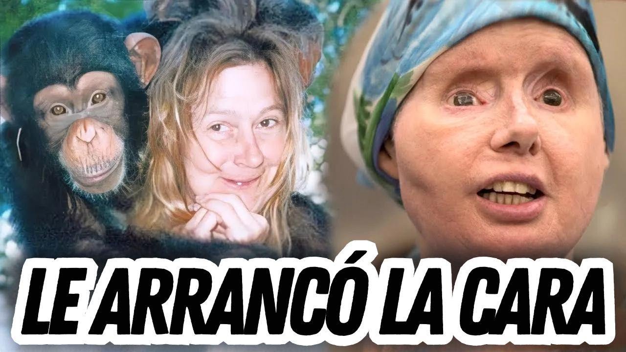 El impactante caso de Travis, el chimpancé - YouTube