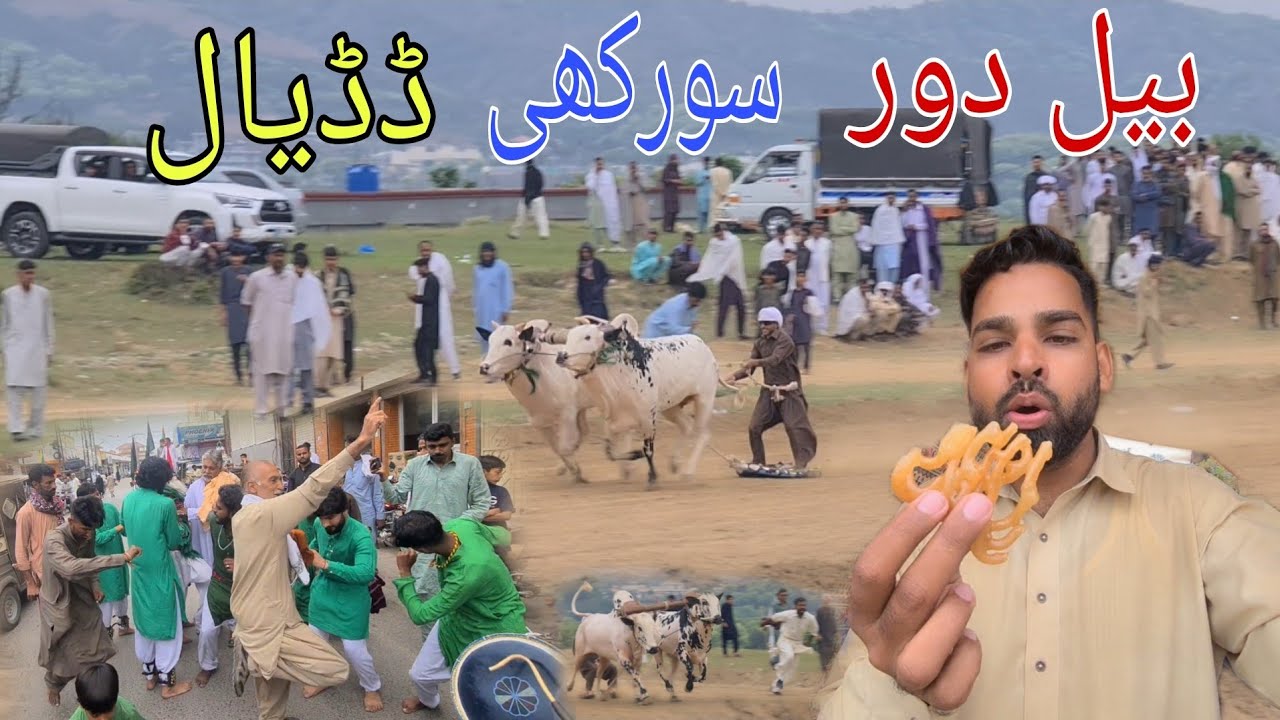 Bull Race in Surakhi 2024 | Dandan Ni Dor | Situation of Dadyal Bazaar ...