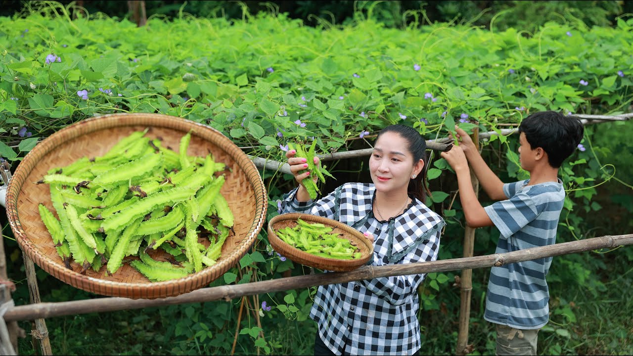 Have you ever cook wing bean before - My brother want to eat wing bean ...